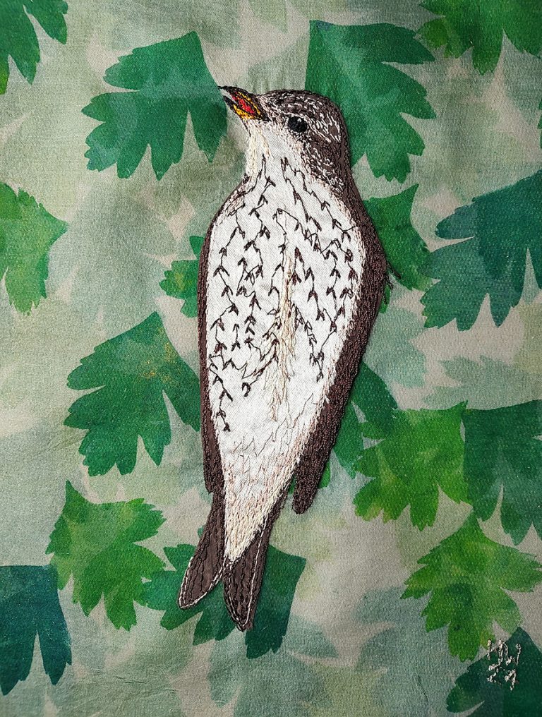 Helen Walsh – EDGE TEXTILE ARTISTS SCOTLAND